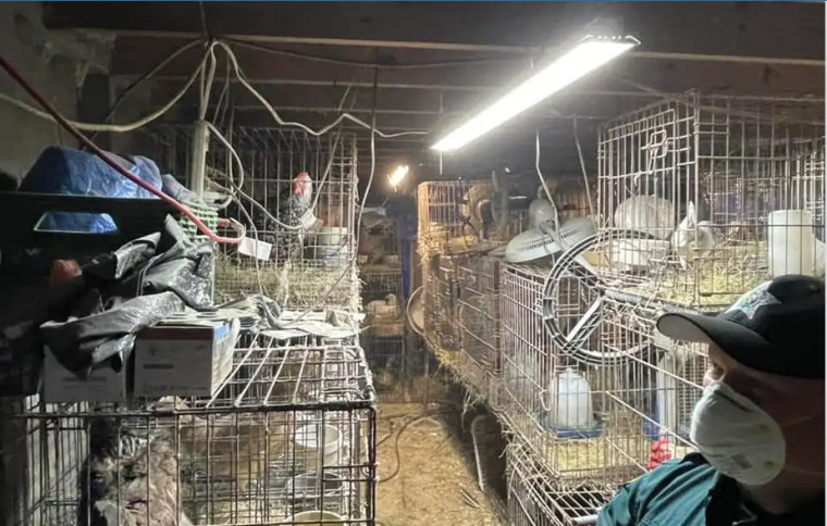 Detienen en Florida a maestra que vivía en una casa móvil con más de ...