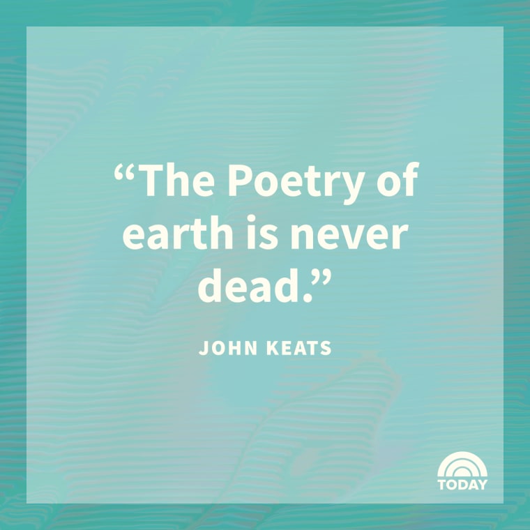 60 Nature Quotes About Life and Beauty of the Outdoors