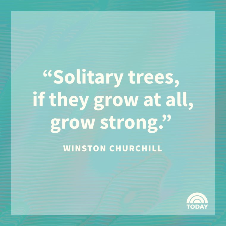 60 Nature Quotes About Life and Beauty of the Outdoors