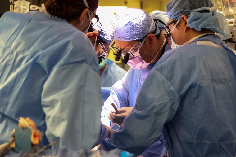 In a first, surgeons successfully transplant a pig kidney into a man