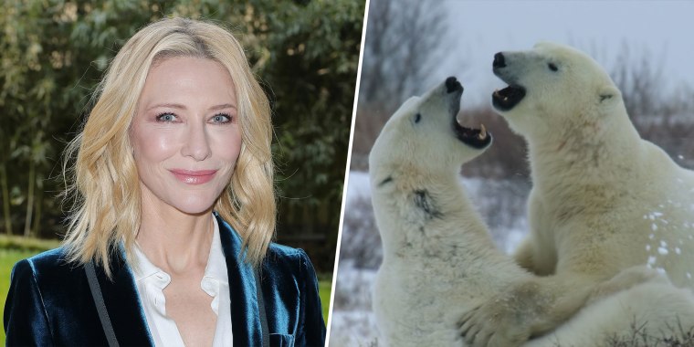 Our Living World, Netflix Nature Doc Narrated By Cate Blanchett: EXCLUSIVE