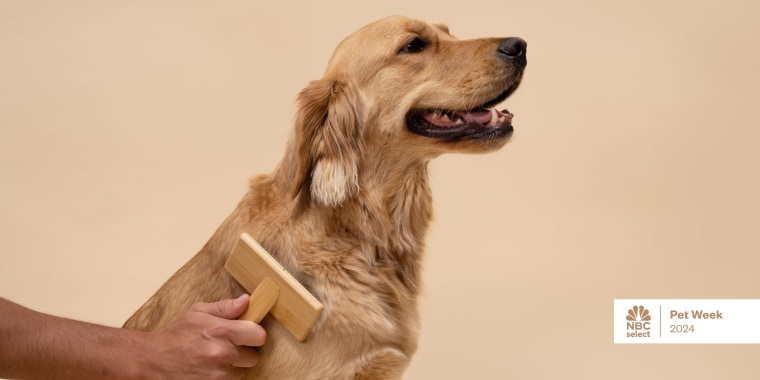 11 best dog brushes of 2024, according to groomers