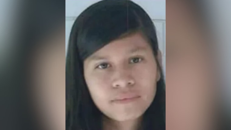 Quiénes son las otras posibles víctimas del hombre acusado del feminicidio de María José ...