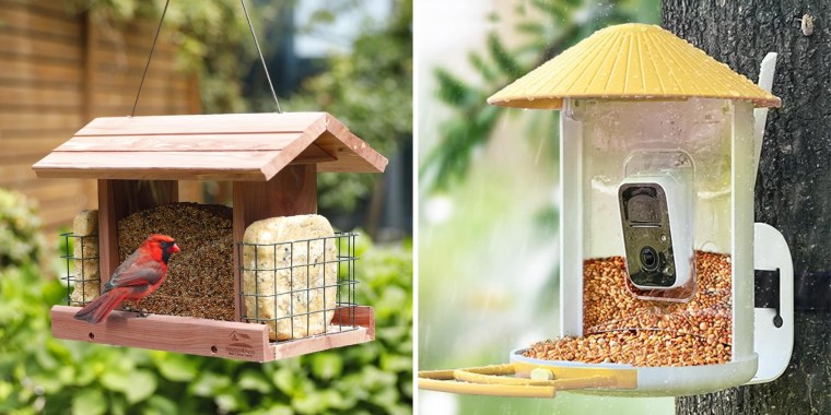 The best bird feeders in 2024, according to experts