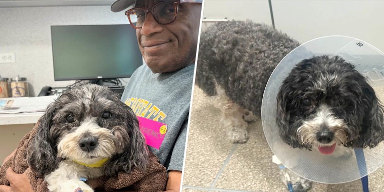 Al Roker Shares His Dog Pepper Underwent Emergency Surgery