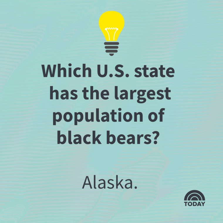 125 Animal Trivia Questions and Answers to Test Your Knowledge