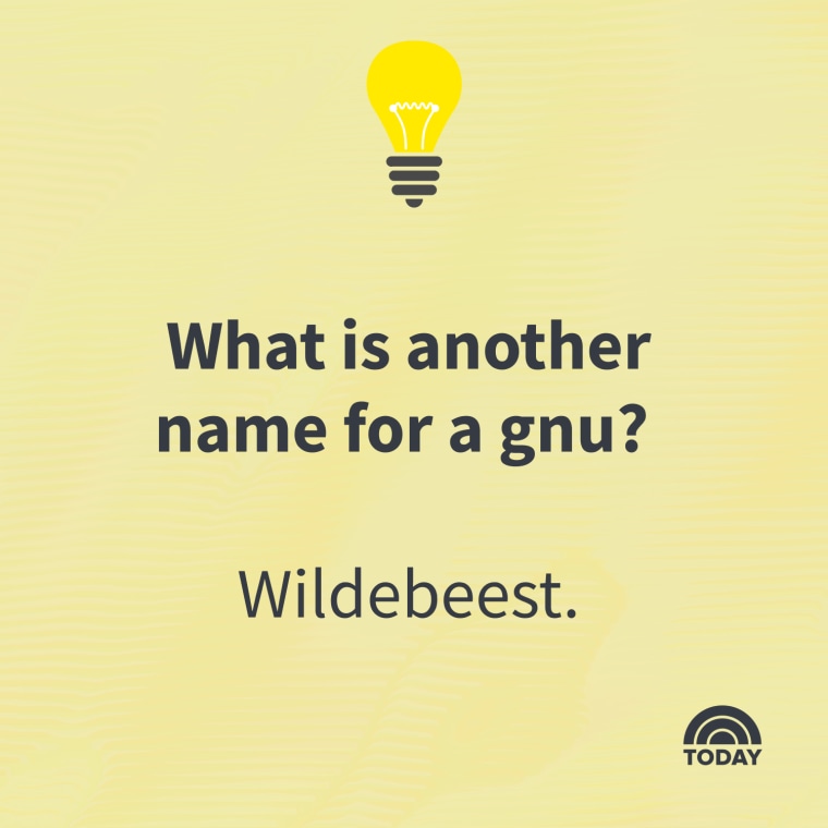 125 Animal Trivia Questions and Answers to Test Your Knowledge