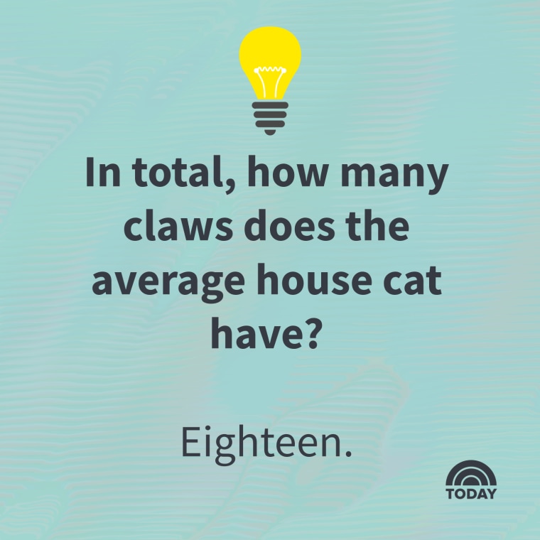 125 Animal Trivia Questions and Answers to Test Your Knowledge