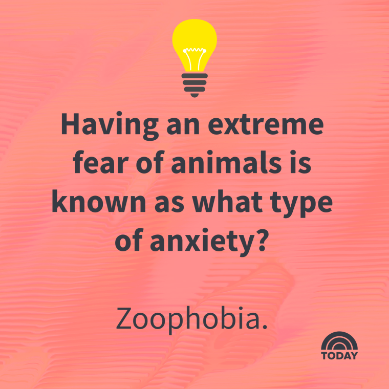 125 Animal Trivia Questions and Answers to Test Your Knowledge