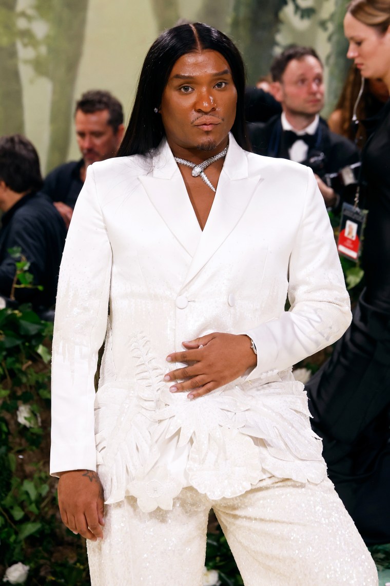 Twee Vlechten Zendaya