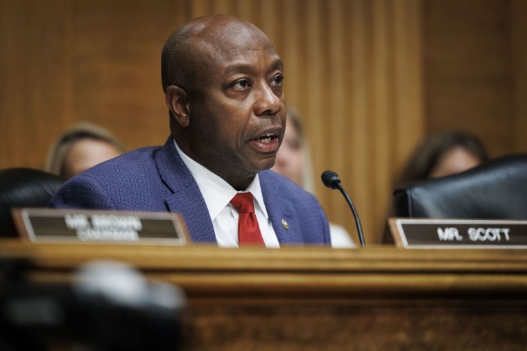 Elecciones 2024: Trump está a salvo tras un intento de asesinato en ...