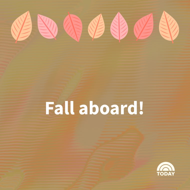 130 Fall Puns for Instagram on Apples, Pumpkins, Leaves and More