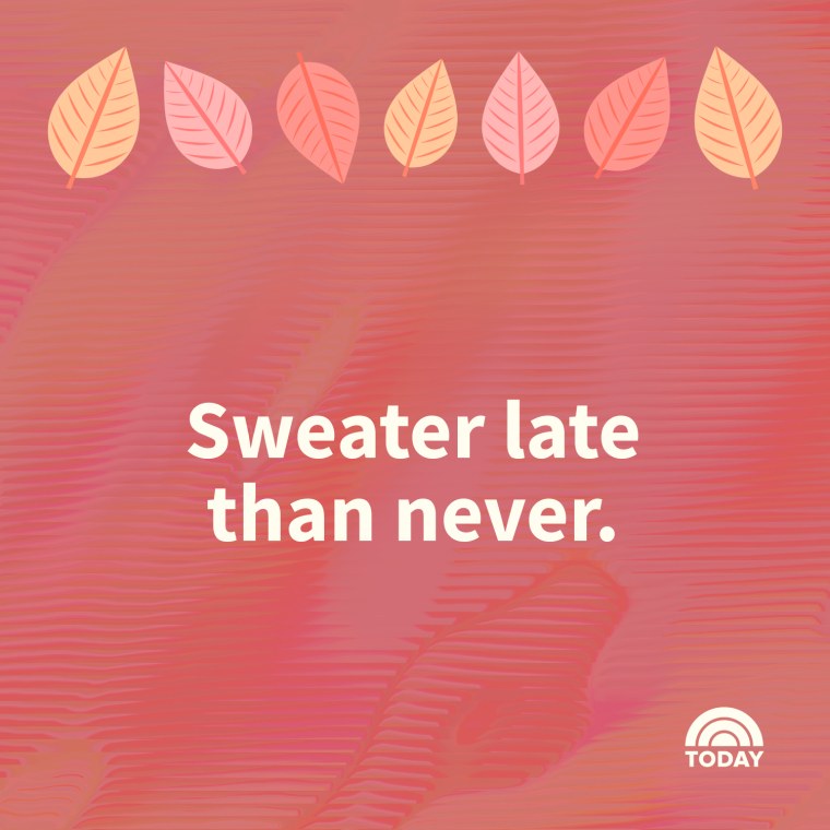 130 Fall Puns for Instagram on Apples, Pumpkins, Leaves and More