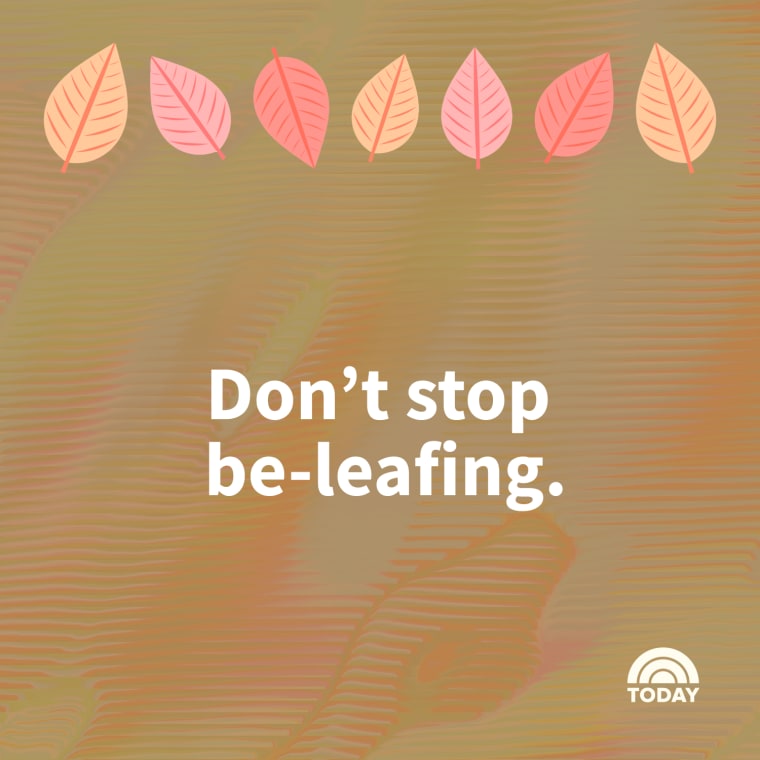 130 Fall Puns for Instagram on Apples, Pumpkins, Leaves and More