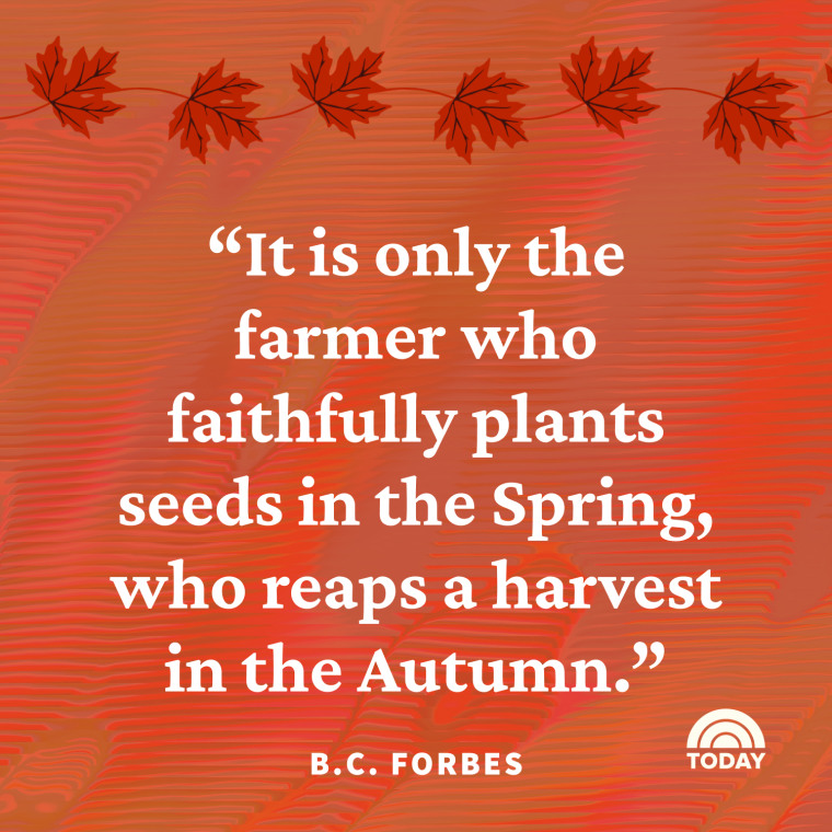 Down Fall Quotes Down Fall Quotes