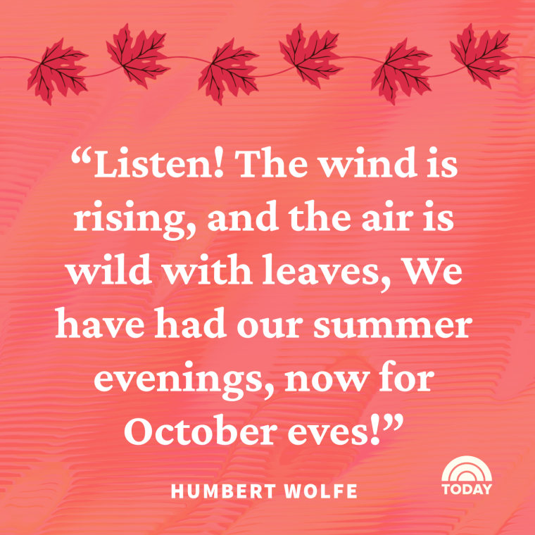 75 Fall Quotes and Sayings to Celebrate All Things Autumn