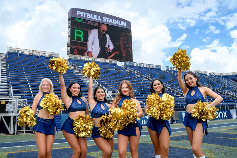 Fiu Cheerleading