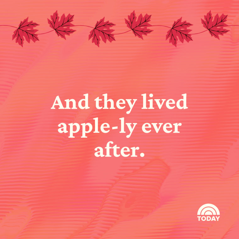 Apple Festival Quotes Sponsor An Apple For Apple Fried Apple Party