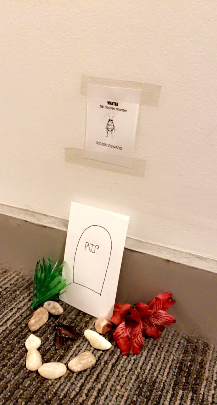 Dead Cockroach Memes