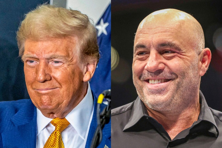Portavoz de Trump dice que no cree que el expresidente declare victoria ...