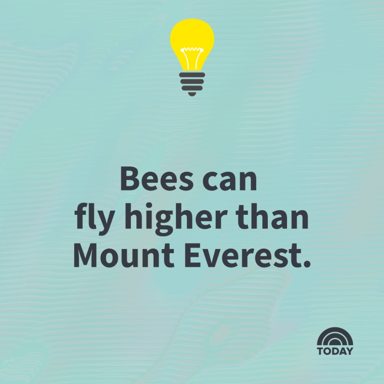 Weird Facts About Life 33 Painfully True Facts About Everyday Life