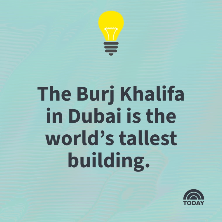 175 Interesting Facts to Entertain Adults and Kids