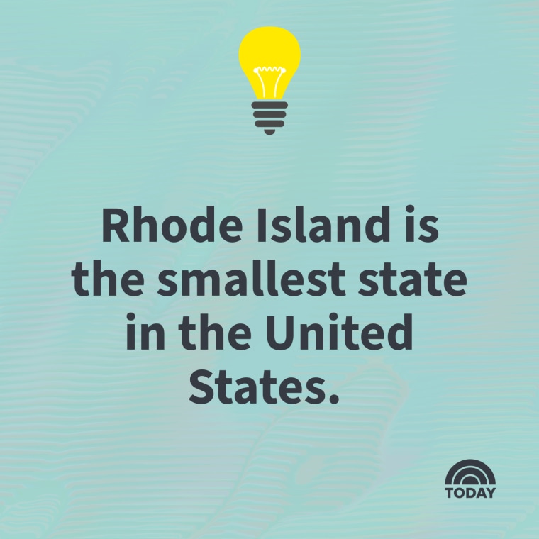 175 Interesting Facts to Entertain Adults and Kids