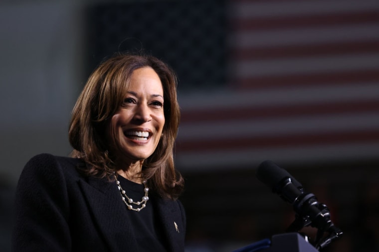 Harris apela a los votantes latinos de Pennsylvania en su último día de ...
