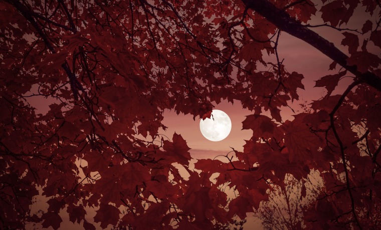 October 2025 Harvest Supermoon: Your Horoscope for the Full Moon