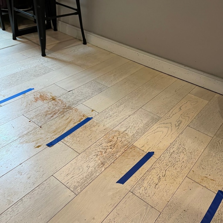 Wet Mop, Steam Mop or Spinning Mop: Which is Best For Floors?