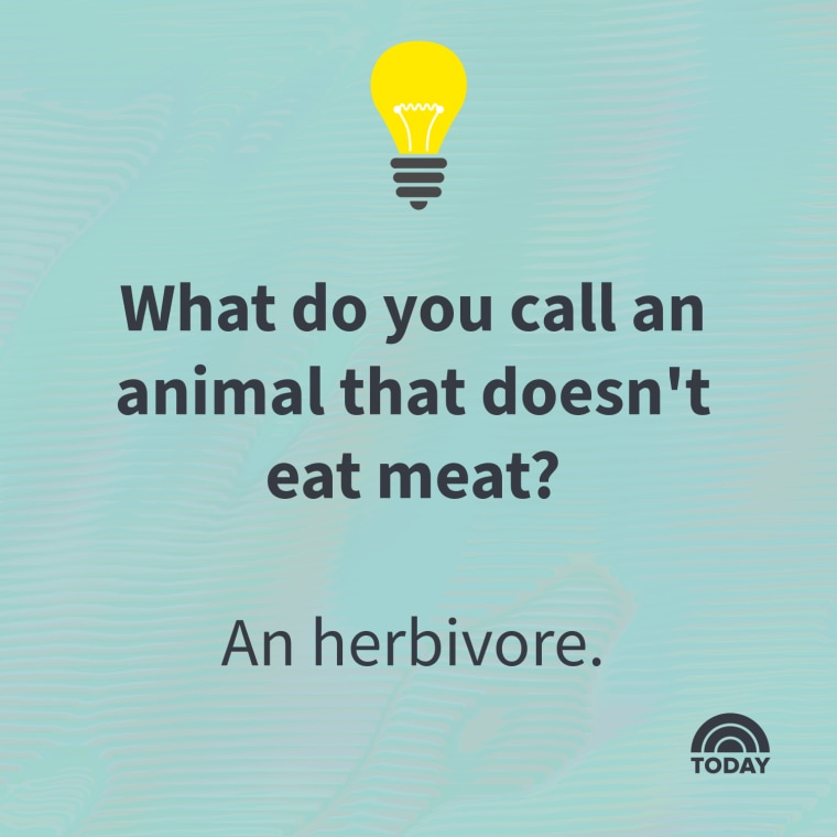 125 Animal Trivia Questions and Answers to Test Your Knowledge