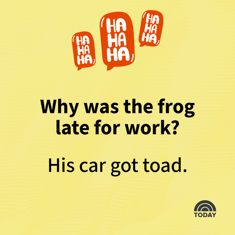 Bad Jokes 170 Funny Corny Jokes For Kids And Adults Bad Jokes 170 Funny Corny Jokes For Kids And Adults