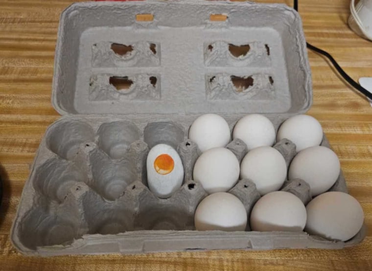 Artist Paints Breakfast-Themed Rocks in Scavenger Hunt for Friend