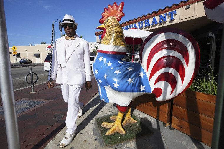 Wild chickens take over Miami while some embrace roosters as a cultural ...