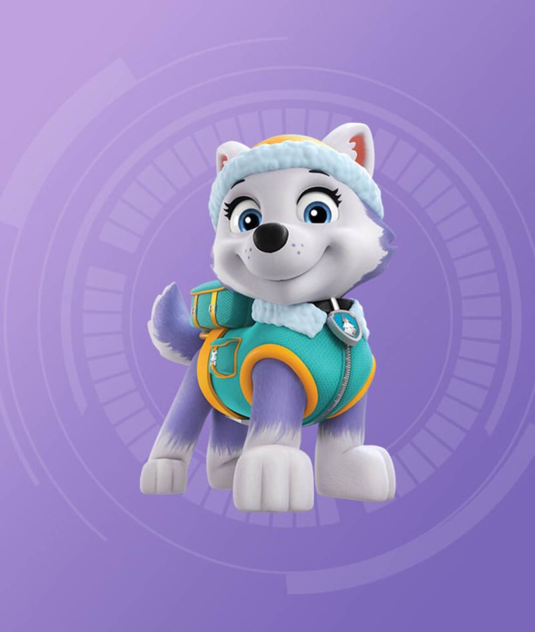 PAW Patrol Characters: A Complete Guide