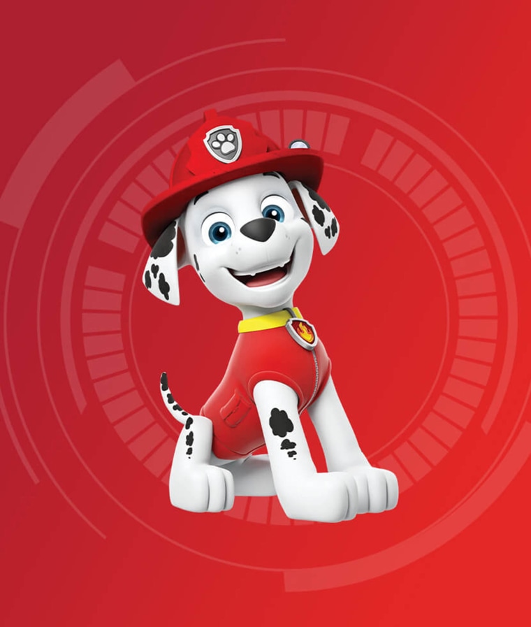 Paw Patrol Characters And Names - Infoupdate.org