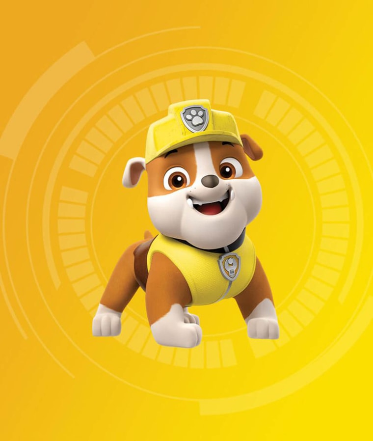 PAW Patrol Characters: A Complete Guide