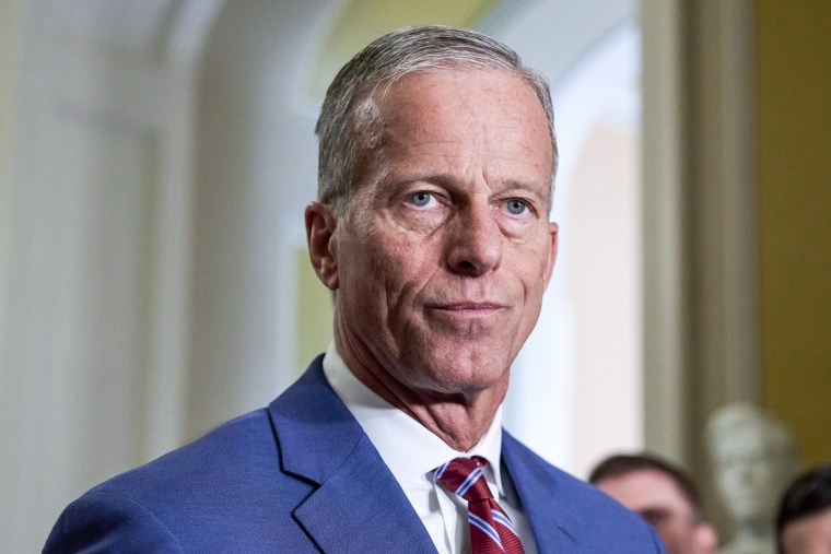 Republicans are dealt a setback on their big bill as Senate referee ...