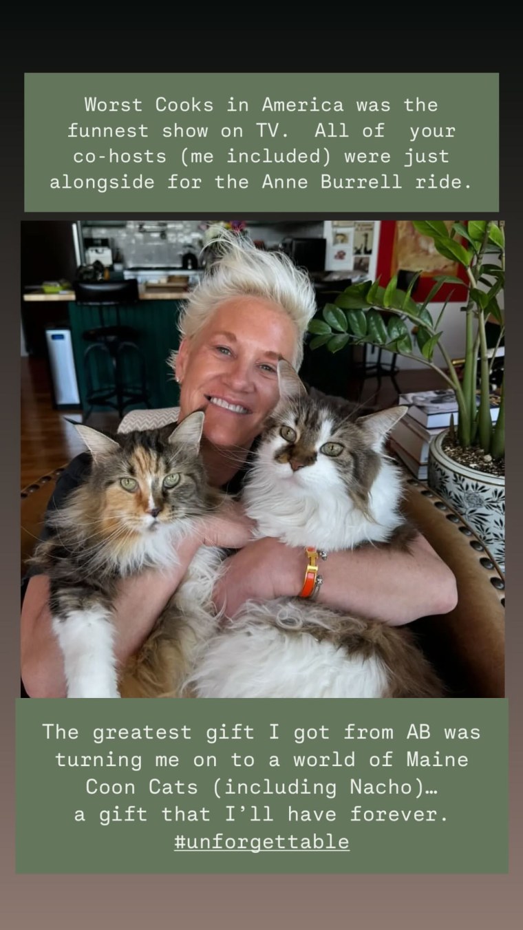 Bobby Flay Shares 'Greatest Gift' Late Chef Anne Burrell Gave Him