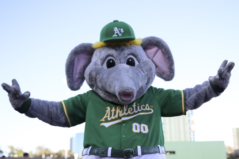 How Do Mascots Like the Phillie Phanatic Stay Fresh in the Summer Heat ...