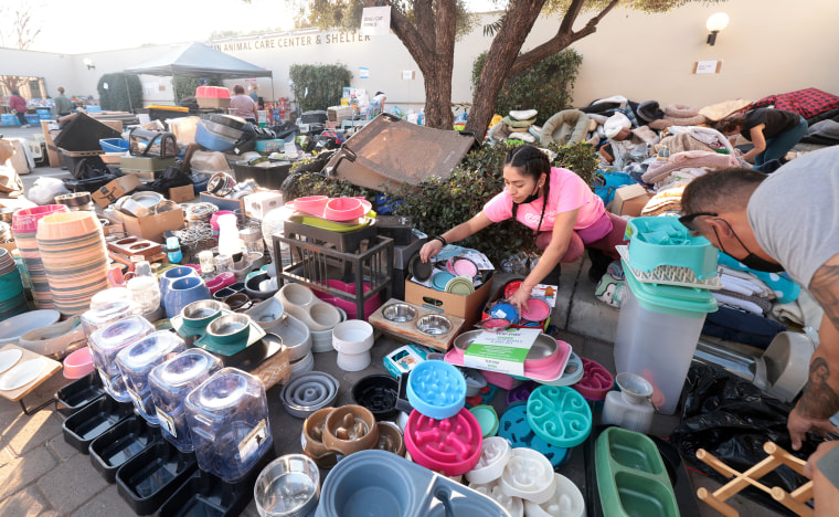 Pasadena Humane Still Caring for Pets Six Months After California Wildfires