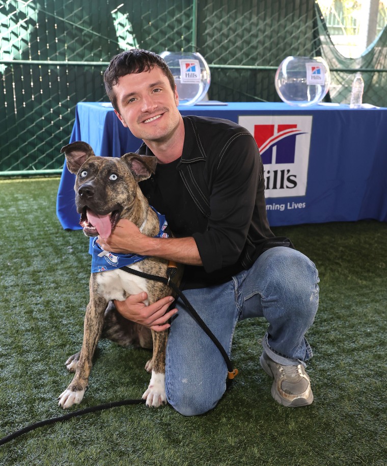 Pasadena Humane Still Caring for Pets Six Months After California Wildfires