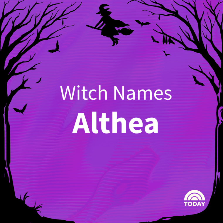 175 Enchanting Witch Names for Kids, Adults and Pets