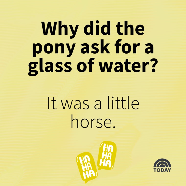 188 Funny Corny Jokes For Kids And Adults