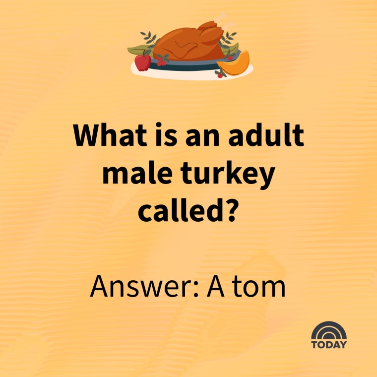 77 Thanksgiving Trivia Questions and Facts for 2025