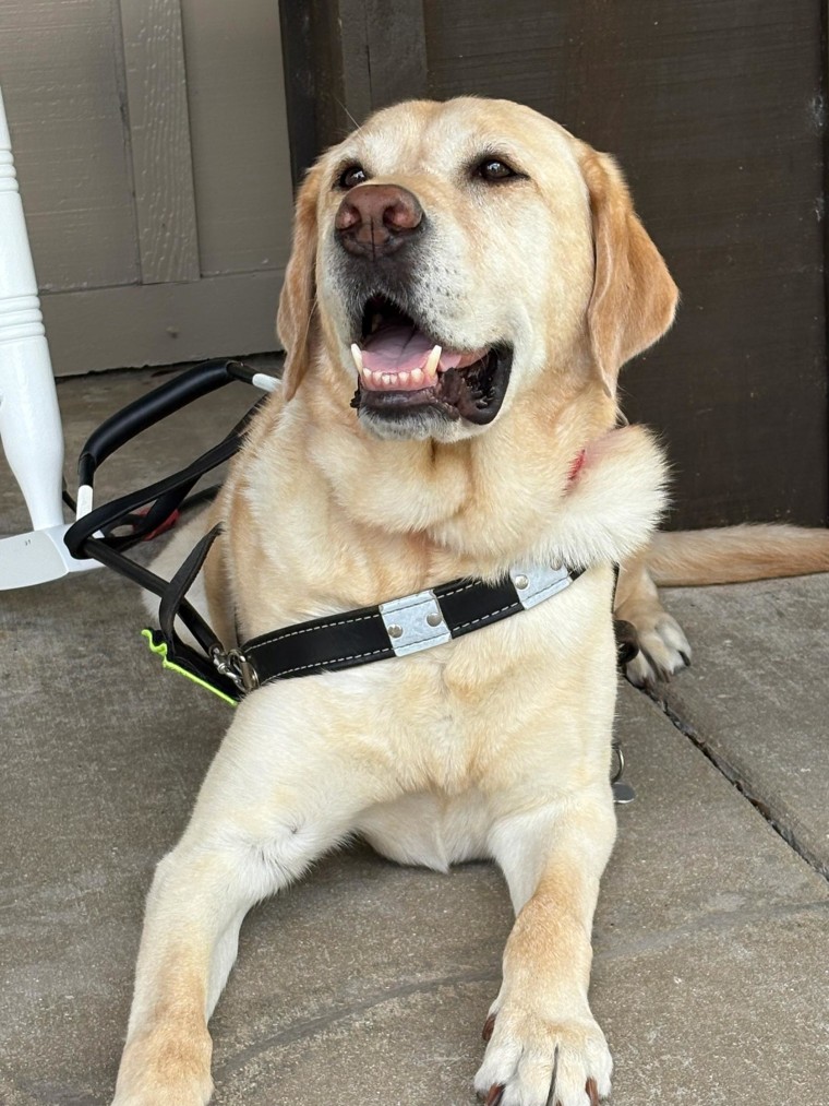 TODAY SHOW | 2025 American Humane Hero Dog Awards Has a Winner: Meet ...