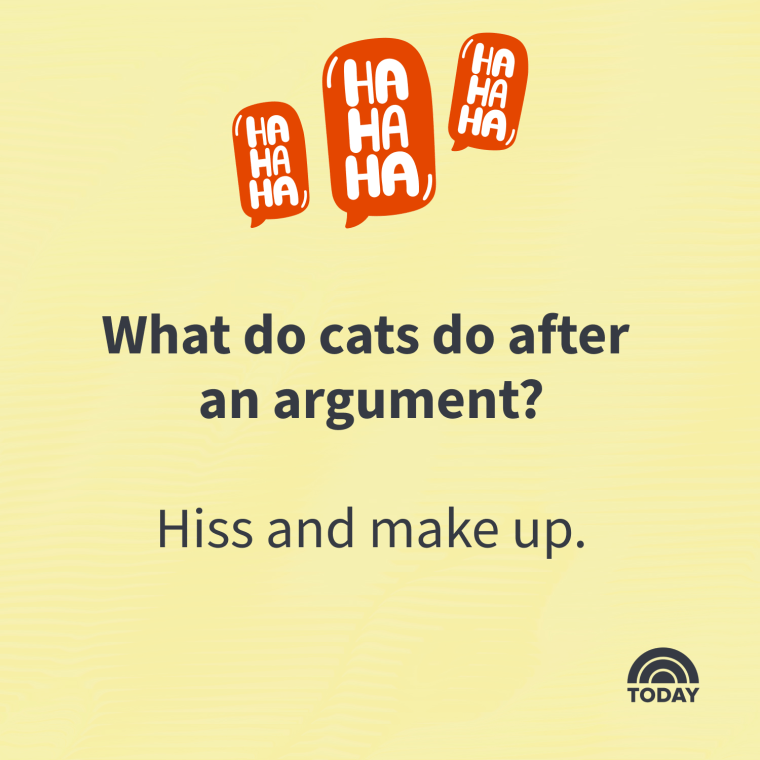 50 Funny Cat Jokes and One-Liners For Kids and Adults