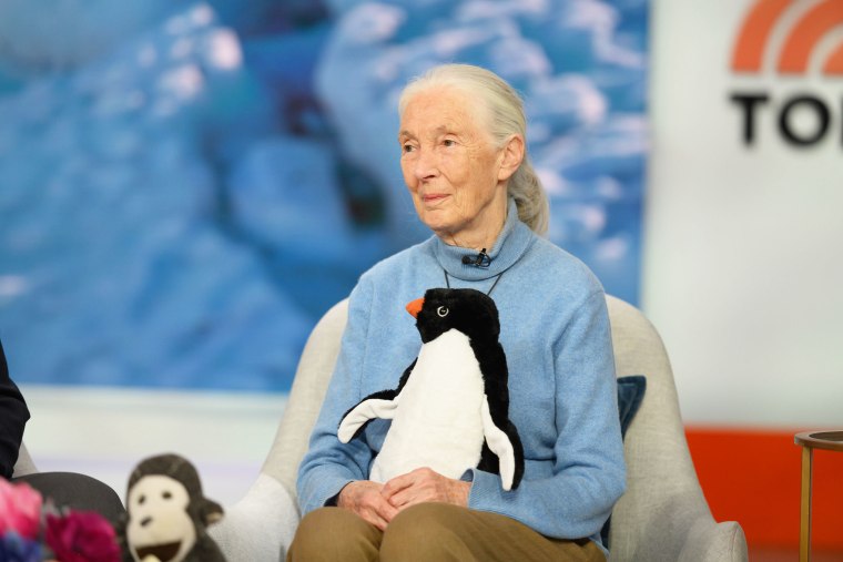 Jane Goodall's Cause of Death Is Natural Causes. What That Means
