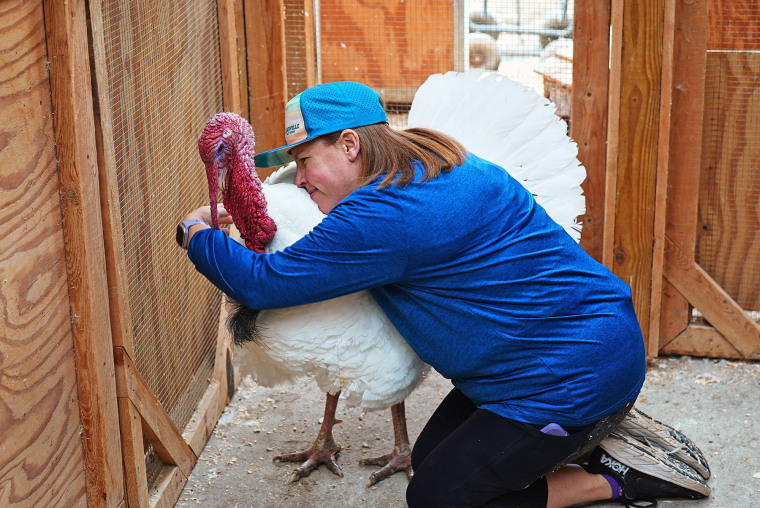 Looking for an alternative Thanksgiving? Try 'adopting' a turkey