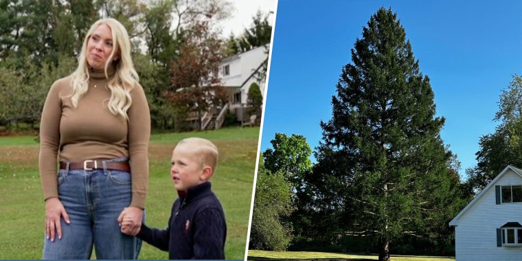 Widow Who Donated Rockefeller Center Christmas Tree Says Husband ...